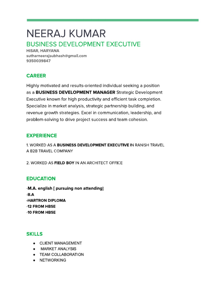 Neeraj Resume BDM | PDF