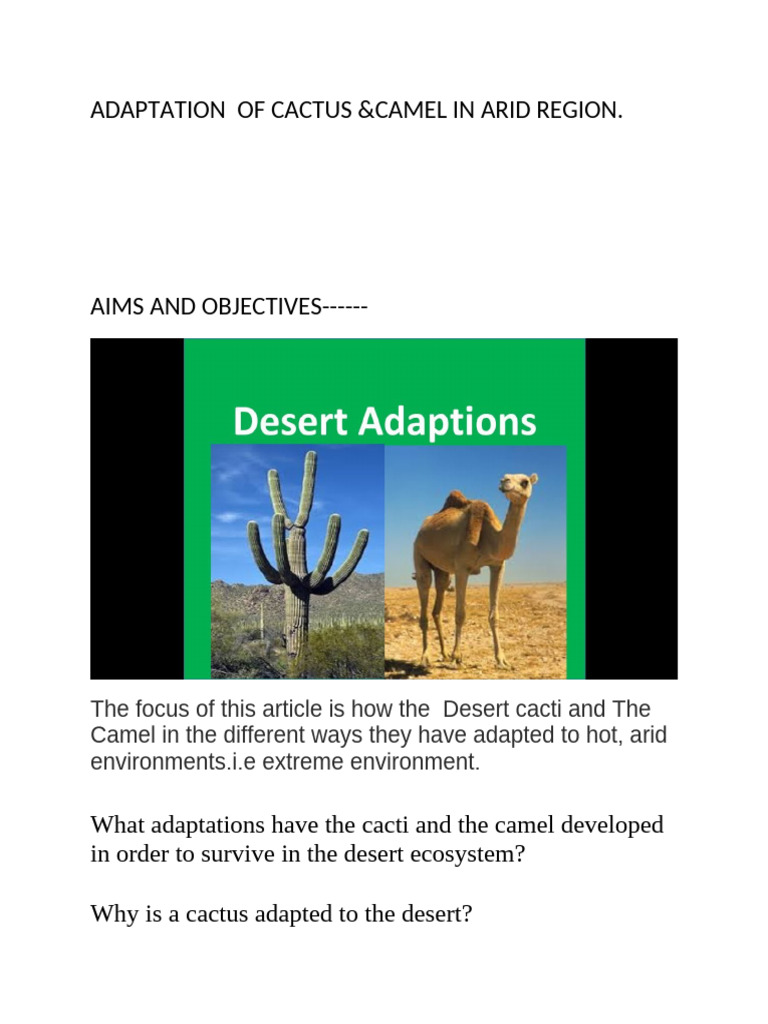 Adaptation of Cactus and Camel Objective and Conclusion. | PDF
