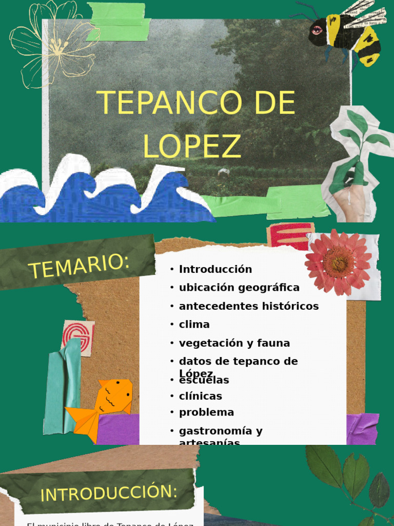 Tepanco de López | PDF
