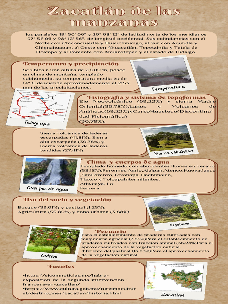 Zacatlán: Clima, Fisiografía y Vegetación | PDF | Clima templado | Clima