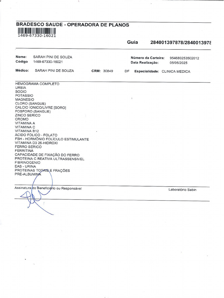 PM Sarah Pini de Souza | PDF