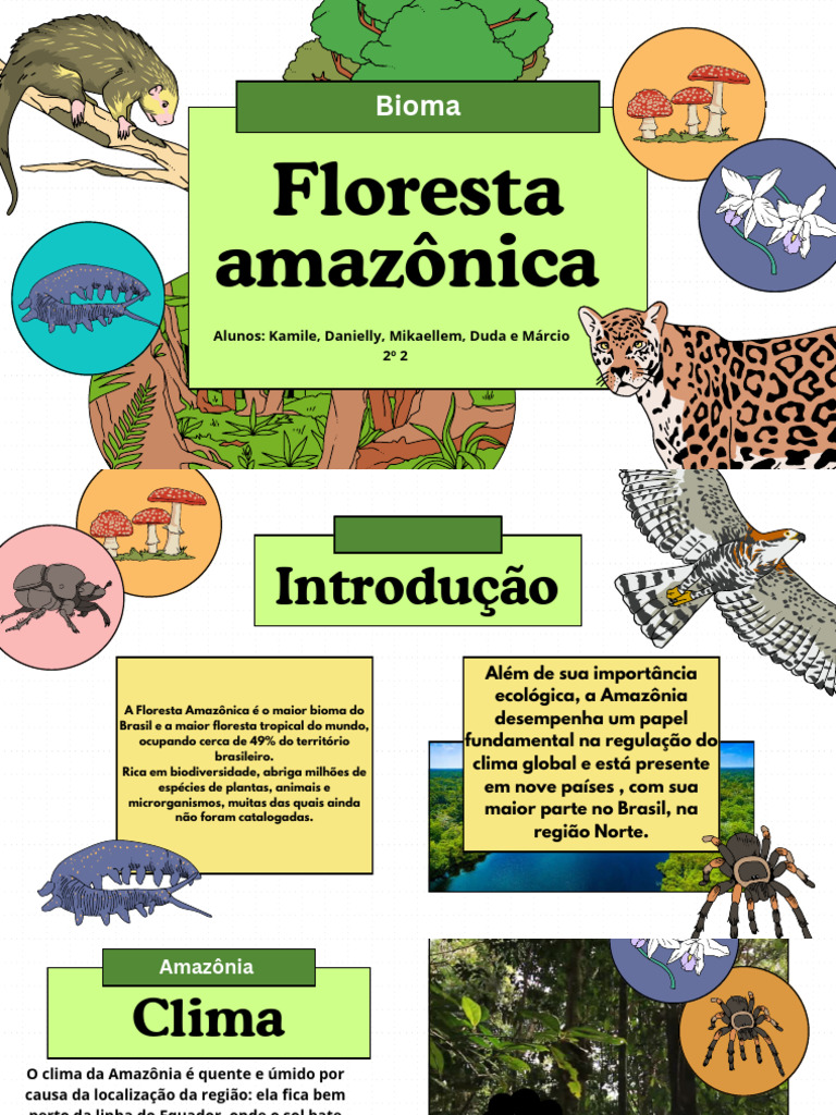 Rainforest Ecosystem NGSS Science Educational Presentation in Green and ...