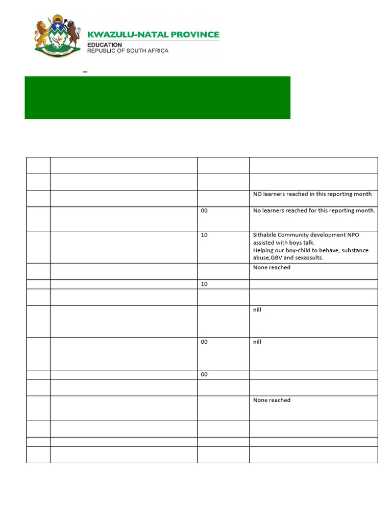 LSA REPORTING TEMPLATE May 2025 | PDF