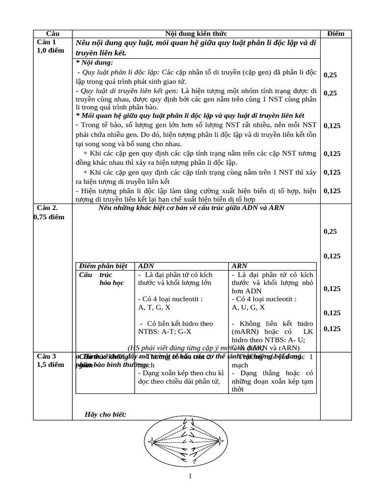 Sinh Chuyen - HDC | PDF