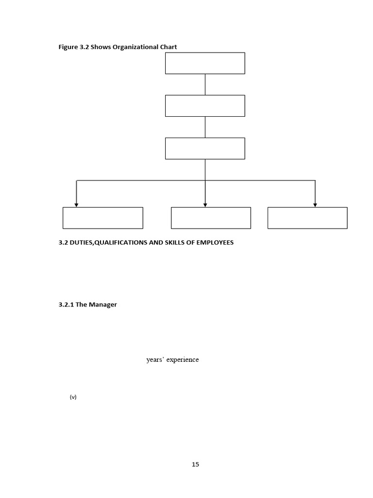 Employee Roles and Qualifications Overview | PDF