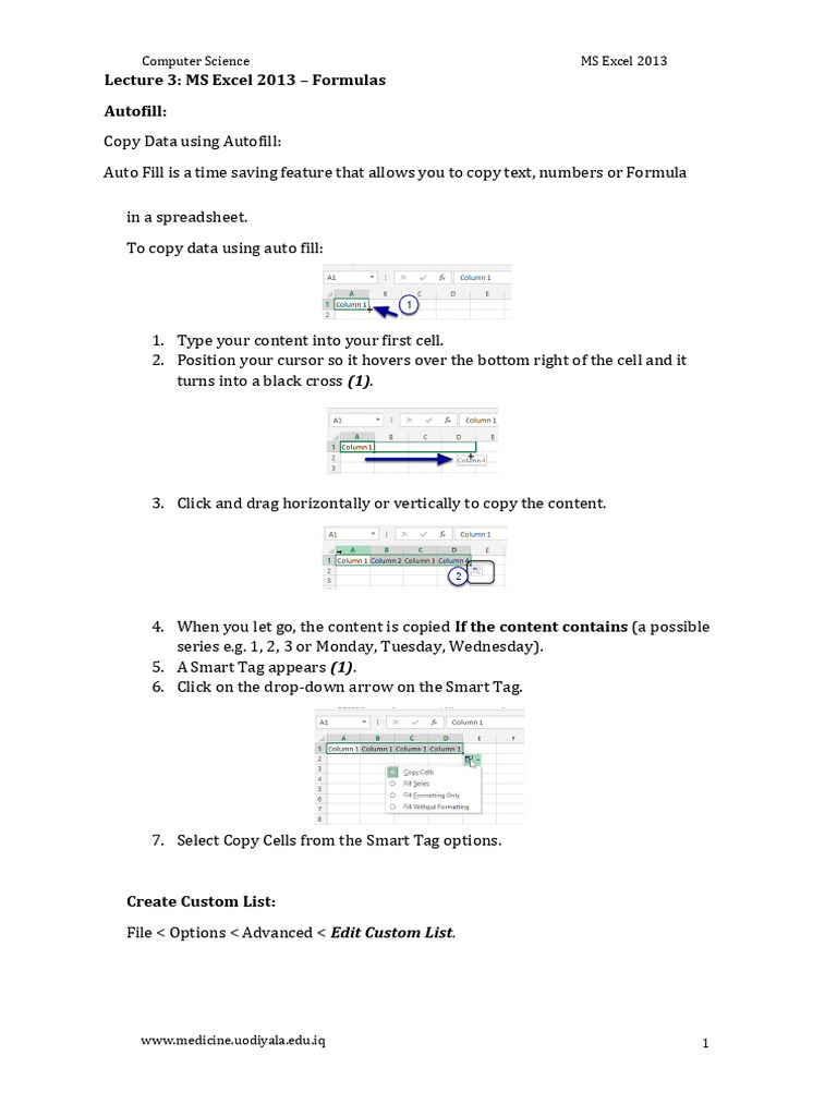 Lecture 3 MS Excel 2013 - Formulas | PDF