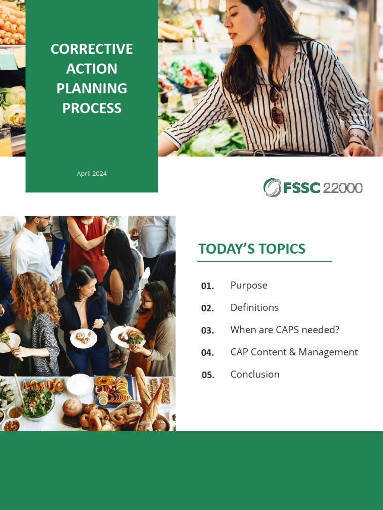 Corrective Action Planning Guide | PDF | Audit
