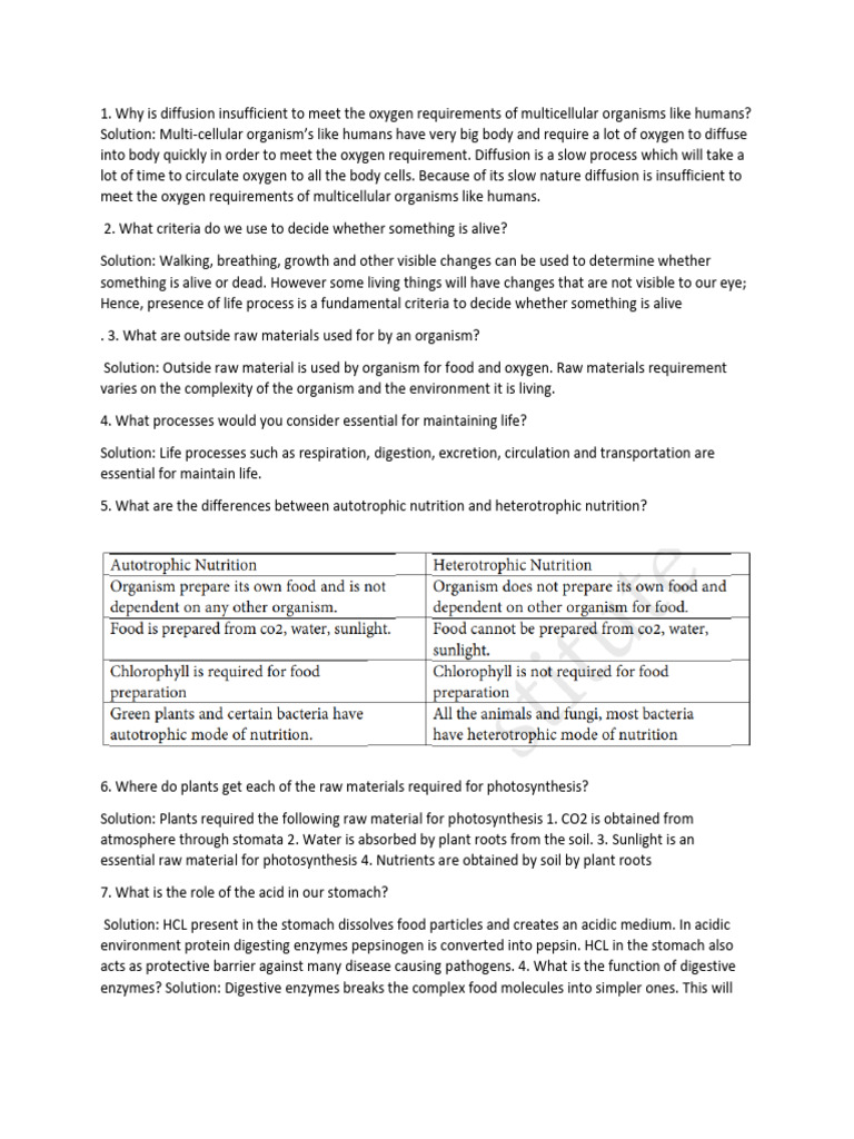 Life Processes Q and A (Intext Questions) | PDF | Digestion ...