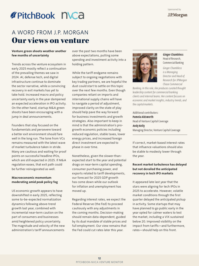JPM CB Docs q1 2025 Venture Capital Update Monitor Ada | PDF | Venture Capital | Corporate Finance
