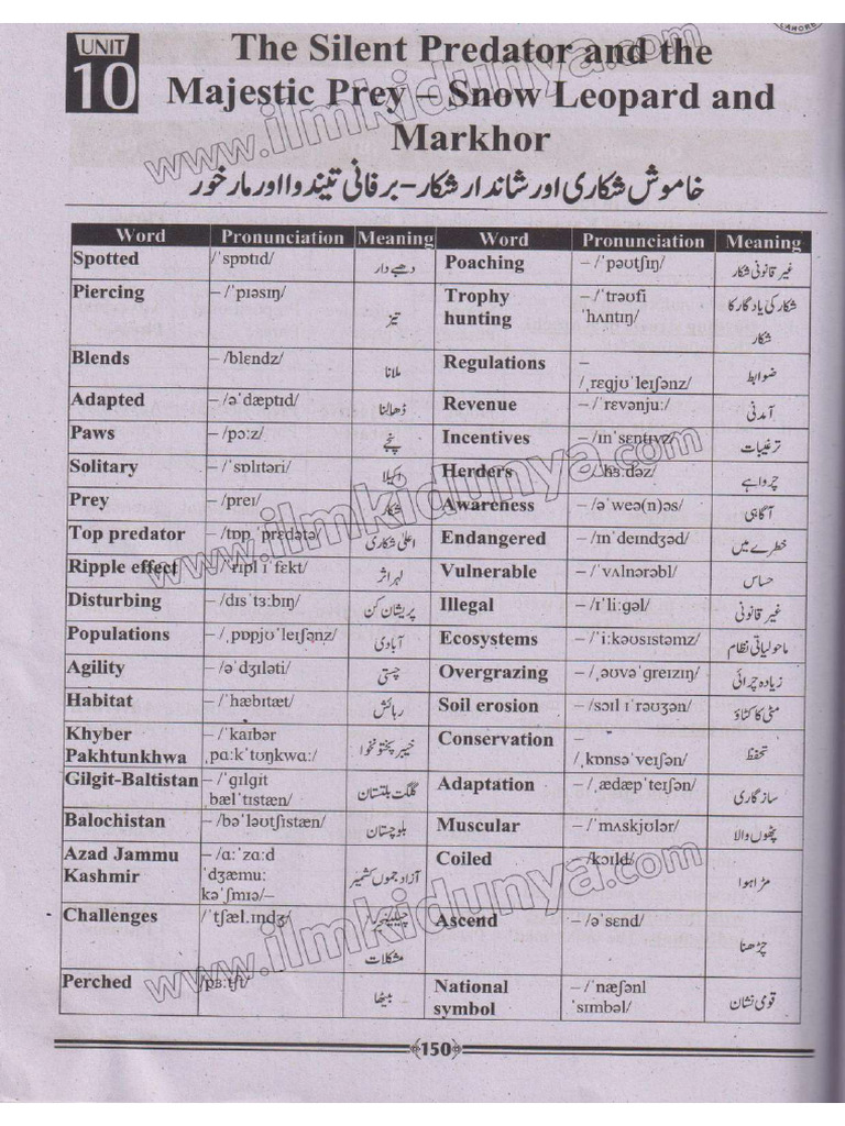 9th Class English Unique Notes New Syllabus Chapter 10 | PDF