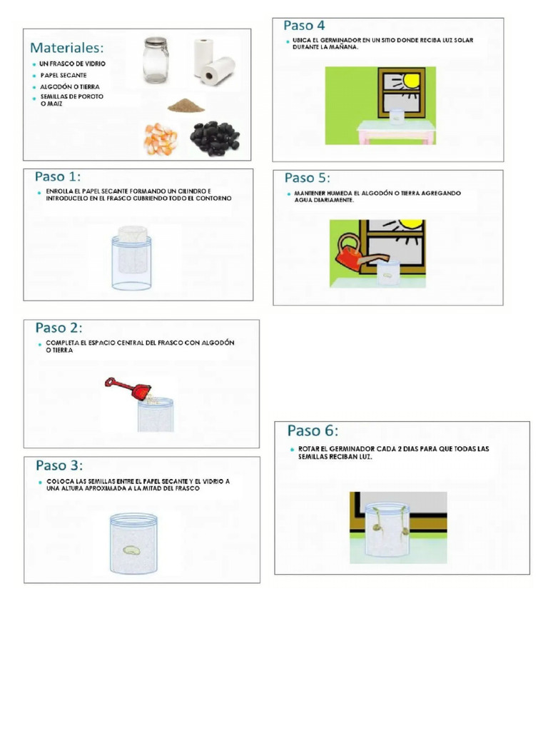Pasos para Hacer El Germinador | PDF