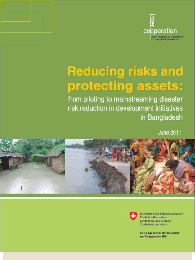 DRR Strategies for Bangladesh Development | PDF | Disaster Risk ...