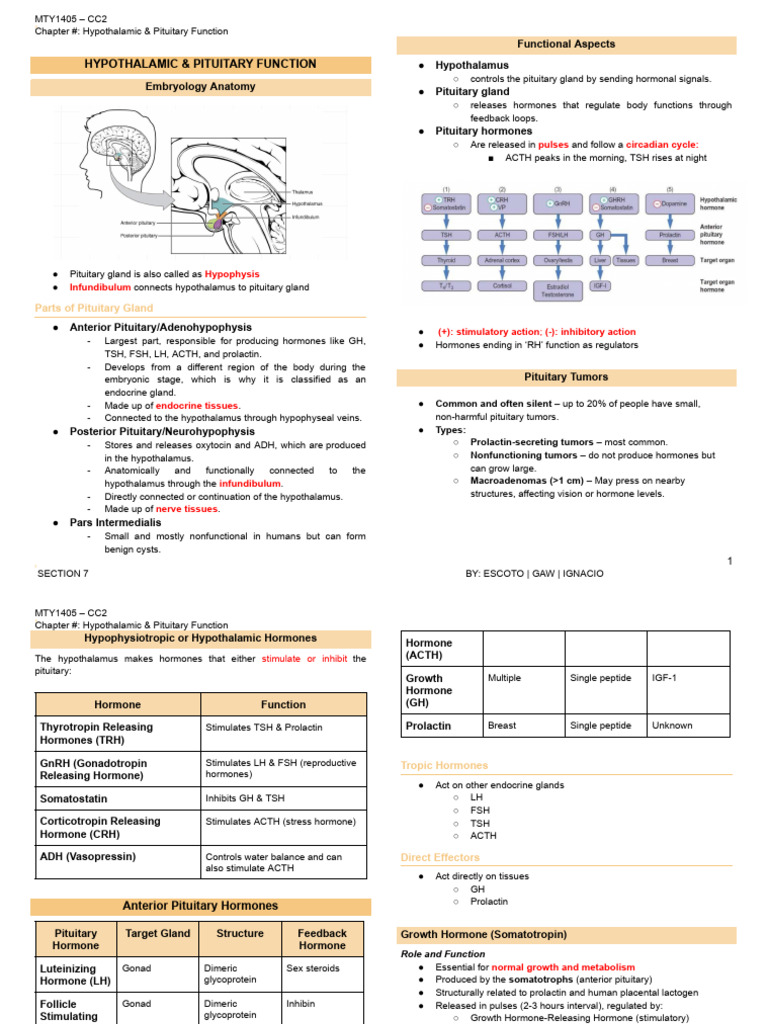 Week10 Hypothalamic Pituitary Function CCLec | PDF | Pituitary Gland | Hypothalamus