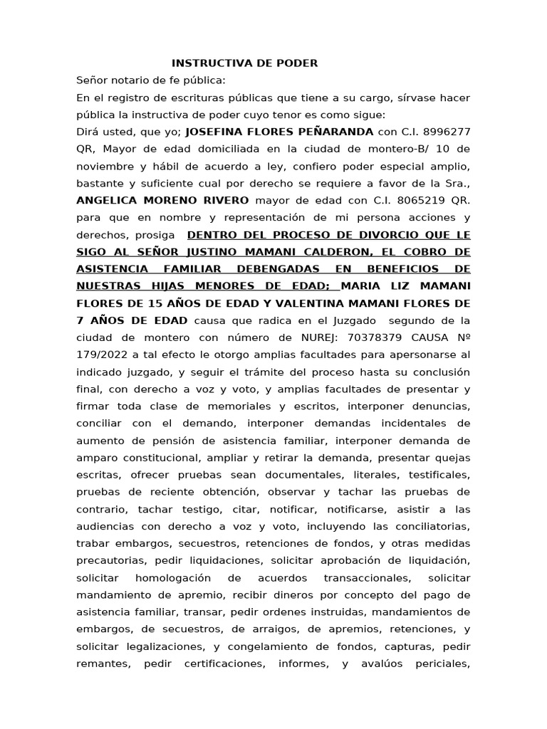 Instructiva de Poder - Asistencia Familiar | PDF | Justicia | Crimen y violencia