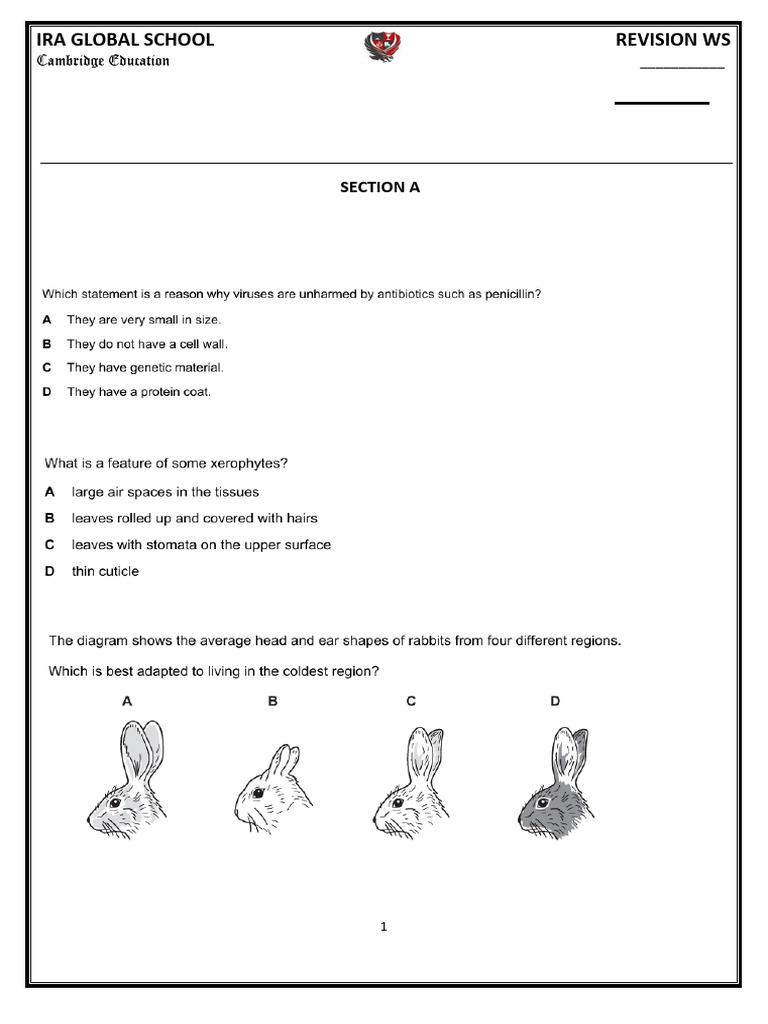 Grade 9 Biology Revision Worksheet | PDF