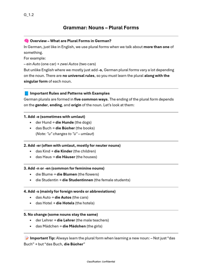German Noun Pluralization Guide | PDF | Plural | Grammatical Gender