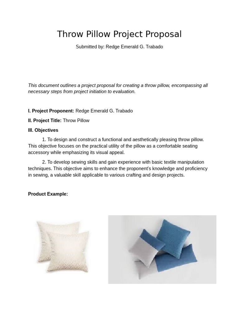 Throw Pillow Project Proposal | PDF | Sewing | Seam (Sewing)