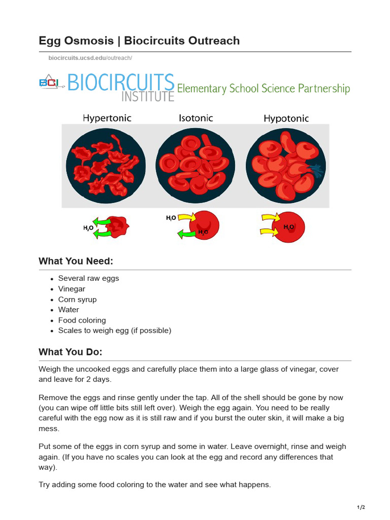 Biocircuits - Ucsd.edu-Egg Osmosis Biocircuits Outreach | PDF | Osmosis | Water