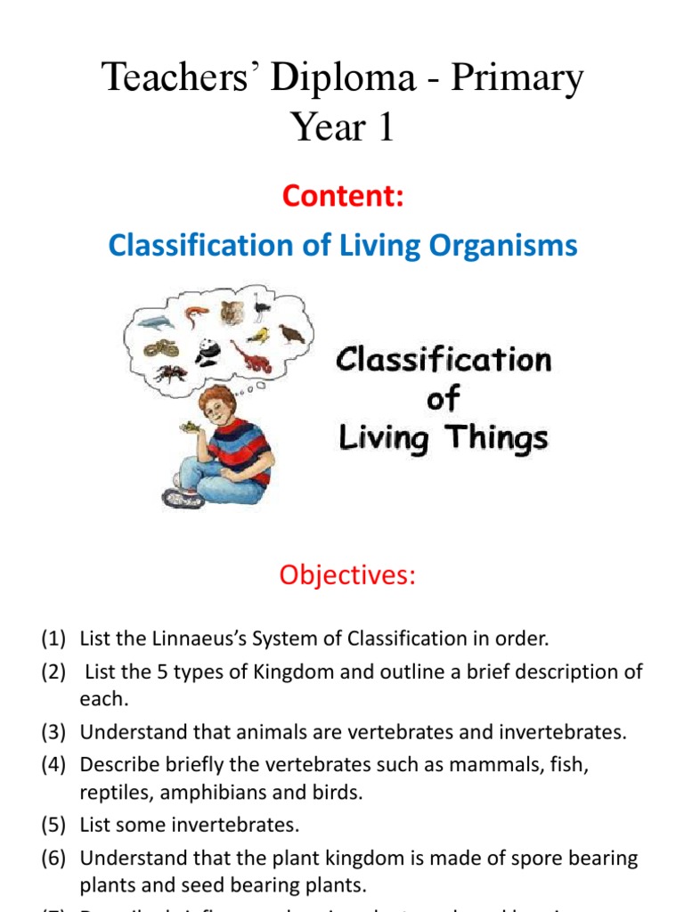 Classification of Living Organisms | PDF | Egg | Invertebrate