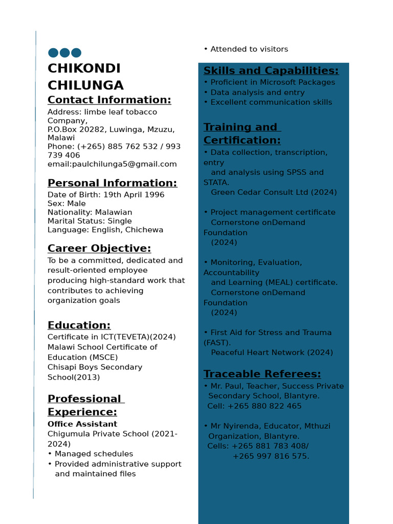 Europass Format CV Extra-1 | PDF