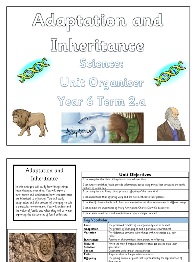 Y6 - Science 2.a Adaptation and Inheritance - Unit Organiser | PDF