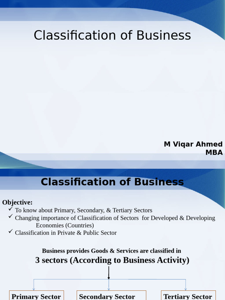 Business Sector Classification Overview | PDF | Tertiary Sector Of The ...
