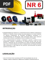 Norma Regulamentadora NR-6: EPI | PDF