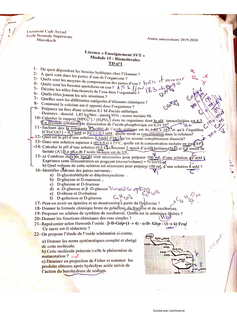 Exam Biochimie | PDF