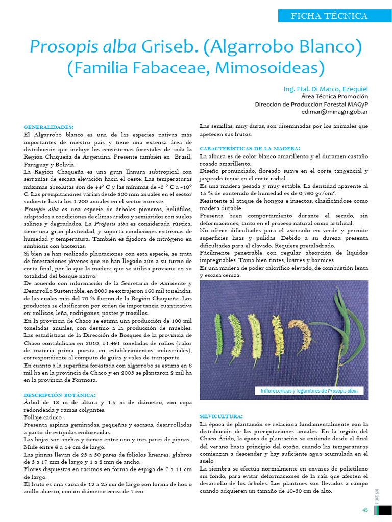 Prosopis Alba Griseb Familia Fabaceae Mimosoide | PDF | Arboles | Los ...