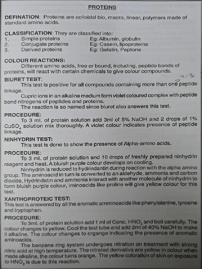 Proteins Tests | PDF