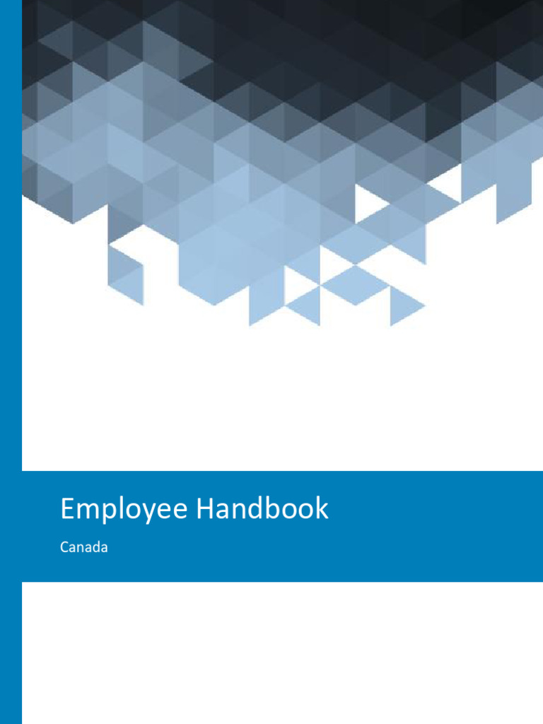 Barracuda Networks Employee Handbook | PDF | Sick Leave | Payroll