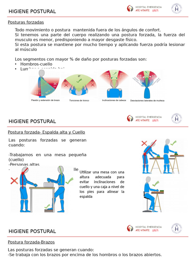 Higiene Postural | PDF