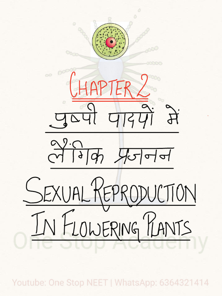 Sample Class 12 Ch 2 Sexual Reproduction In Flowering Plants Hindi Pdf