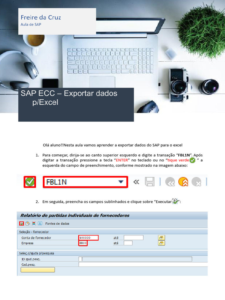 SAP ECC - Exportar Dados P - Excel | PDF