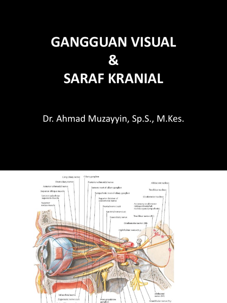 Gangguan Visual & Saraf Kranial | PDF | Visual System | Human Eye