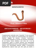 Sintomas da Tungíase e Cuidados | PDF | Doenças e distúrbios | Remédio