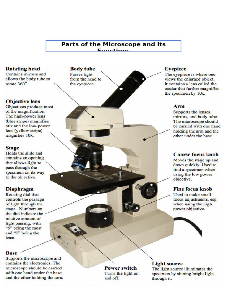 Parts of Microscope | PDF