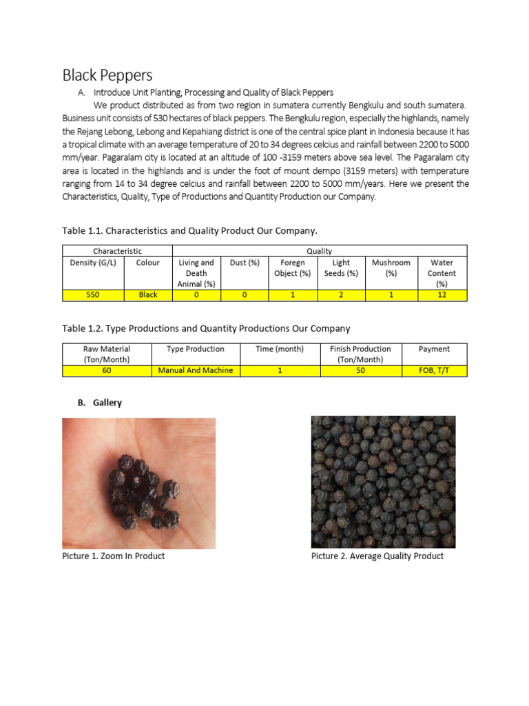 Black Peppers | PDF