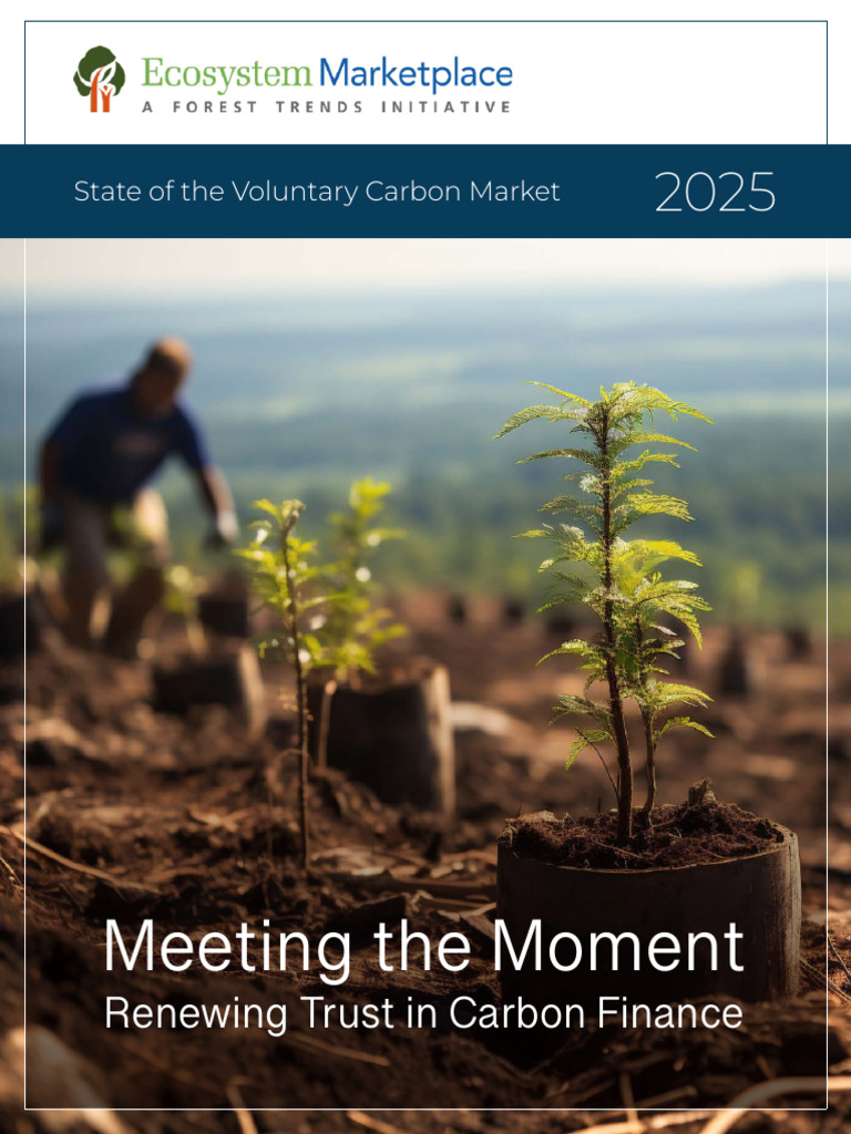 State of the Voluntary Carbon Market 2025 | PDF