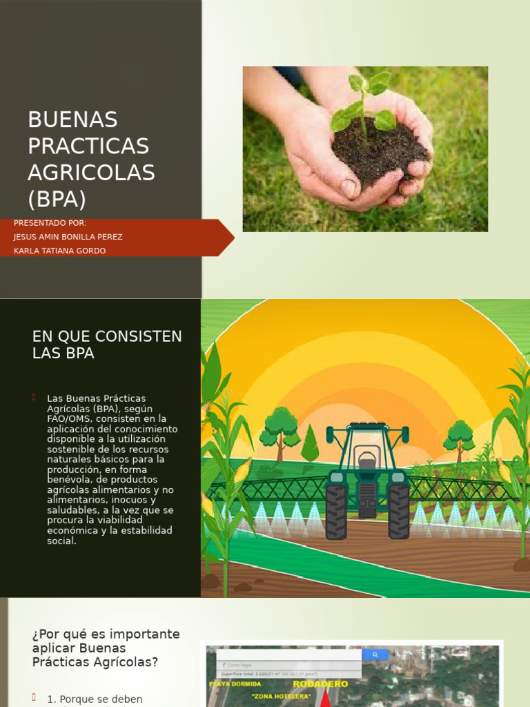 Exposición BPA | PDF | Pesticida | Agricultura