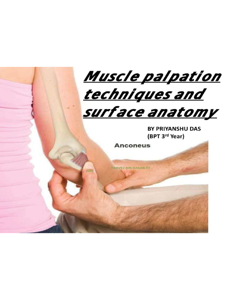 Muscles Palpation Techniques For Mainly Physiotherapy Students. | PDF