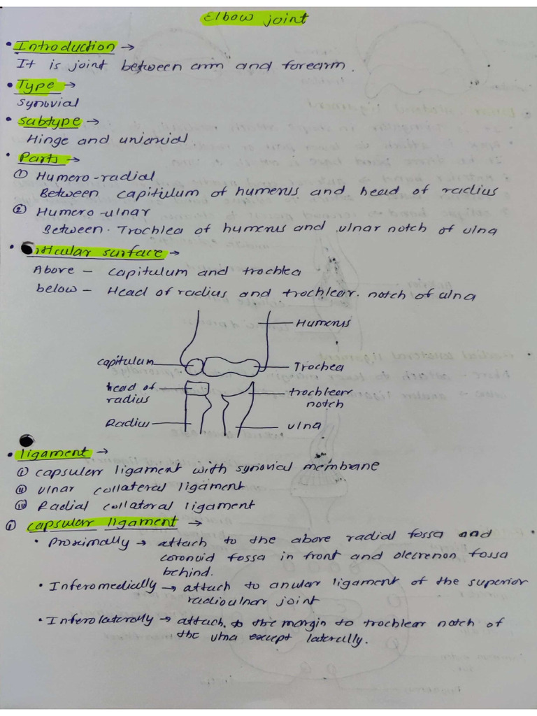 Elbow Joint LAQ 10 Marks | PDF