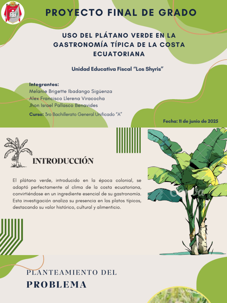 Presentación Proyecto Final Israel Pallasco 3ro A | PDF | Ecuador