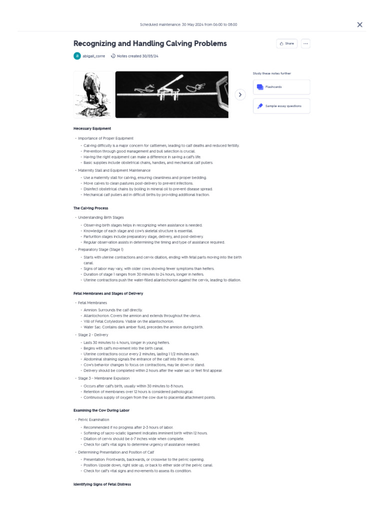 Calving Problems: Equipment & Techniques | PDF | Childbirth | Uterus