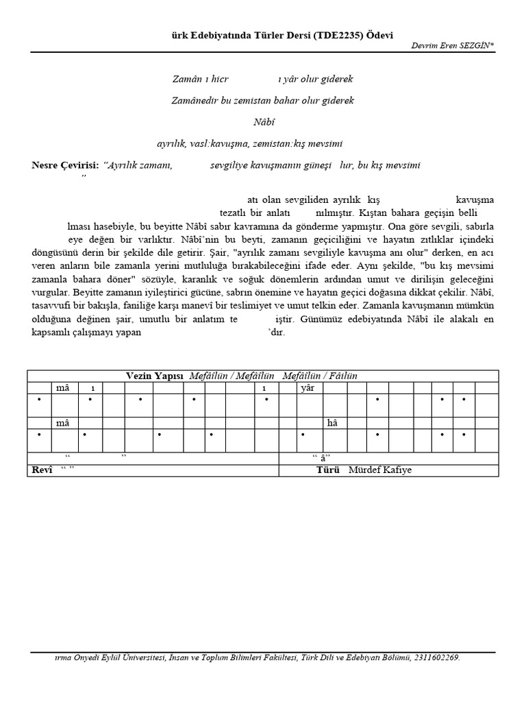 Des Tde2235 Odev | PDF