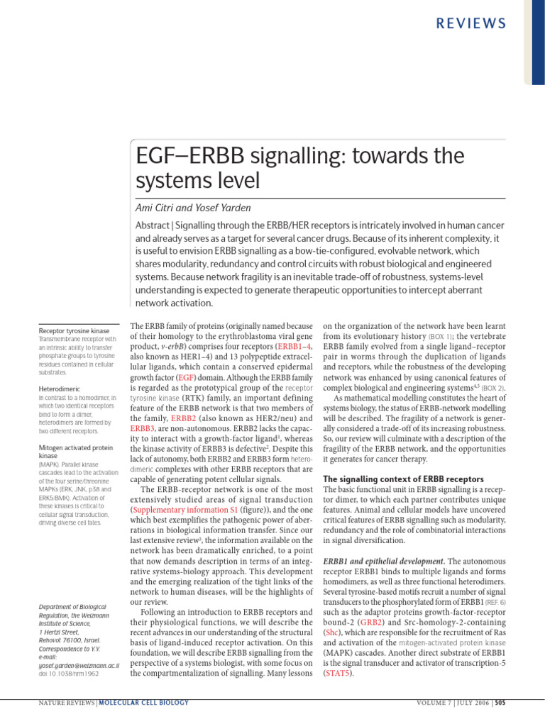 egf-erbb signalling lectura a exponer | PDF | Epidermal Growth Factor ...