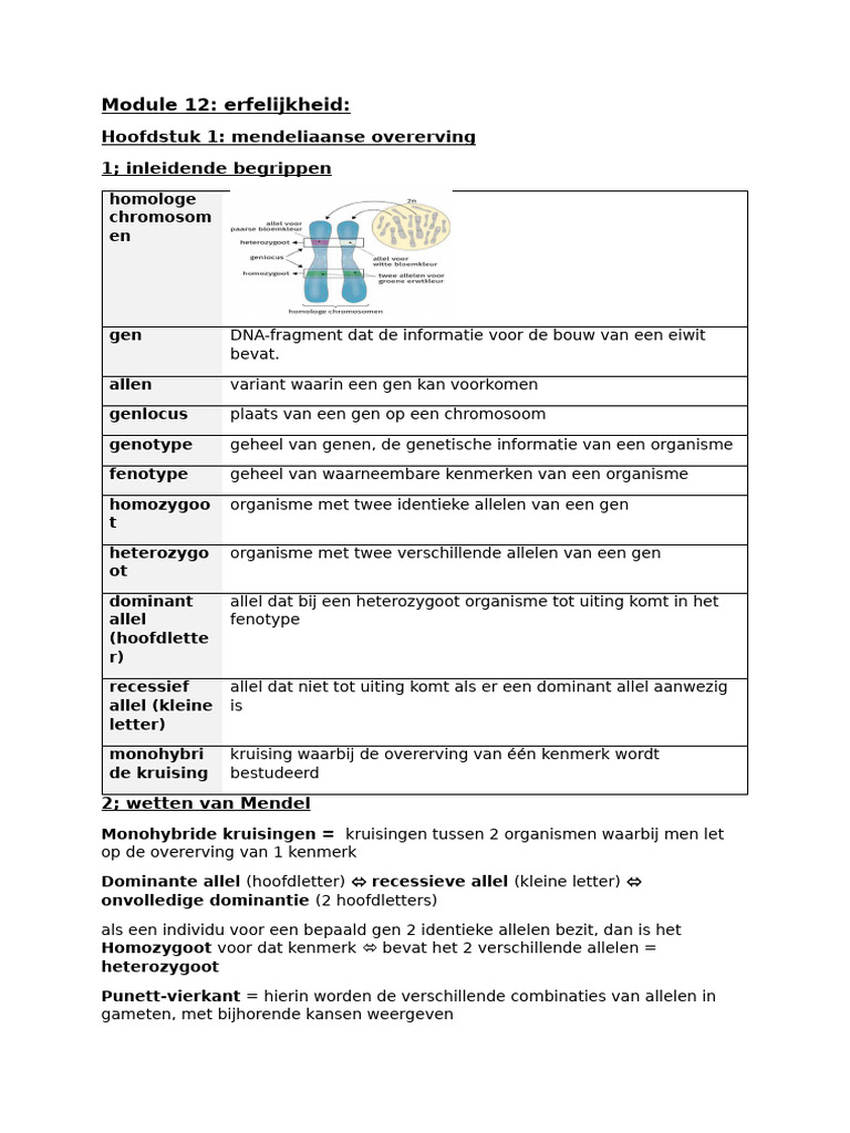 Samenvatting Module 12 (Erfelijkheid) en Module 15 (Biotechnologie) | PDF