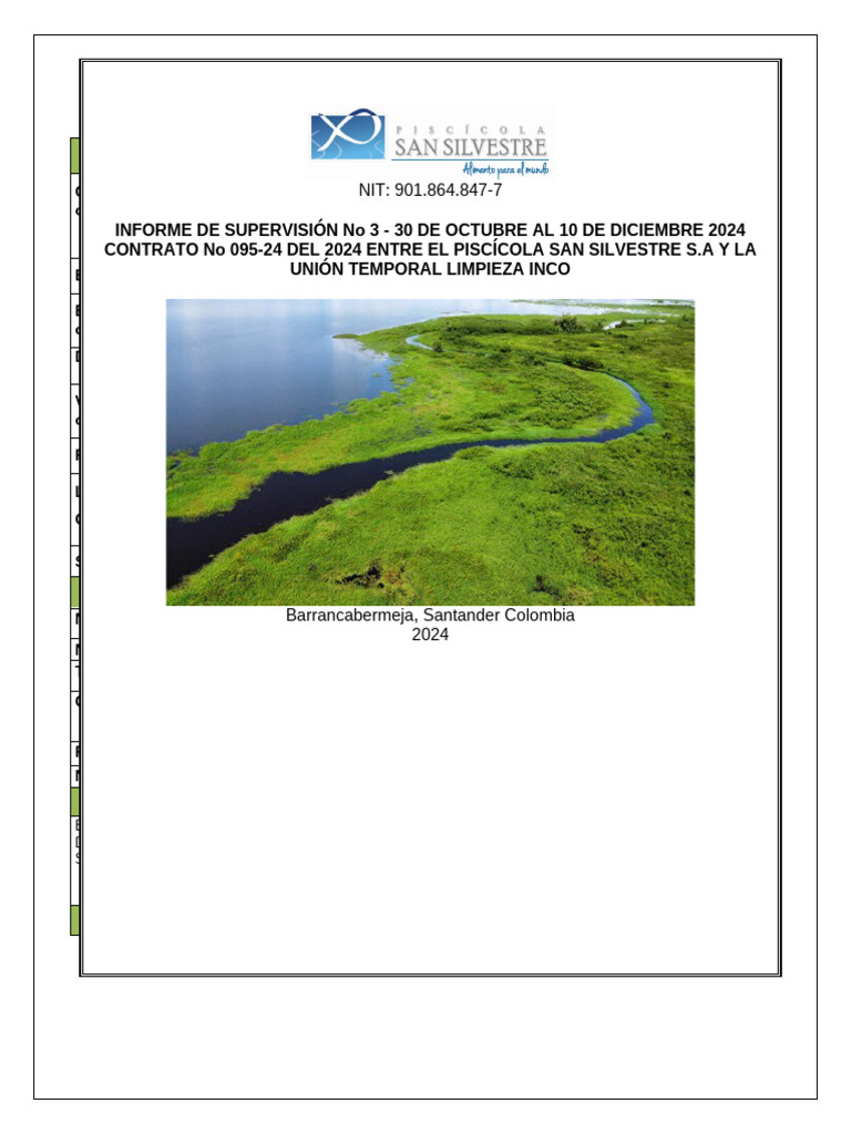 Informe de Supervision 3 | PDF