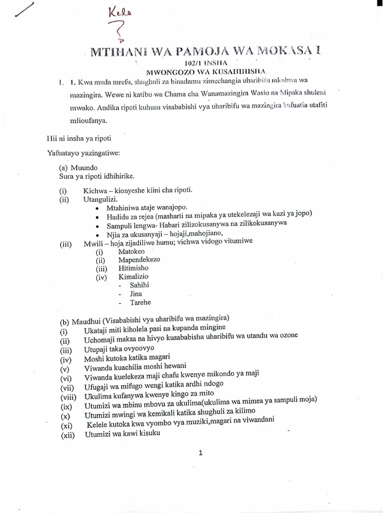 Mwongozo PPL 2025 | PDF
