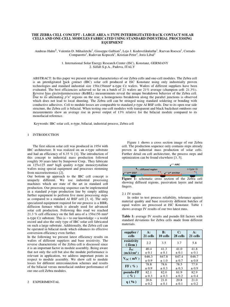 The Zebra Cell Concept Large Area N Type | PDF | Solar Cell | Wafer ...